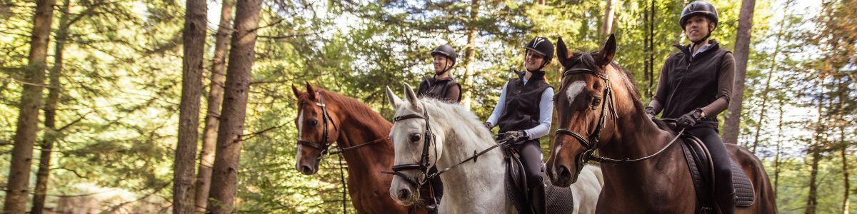 Everything you need to know about riding clubs in Germany